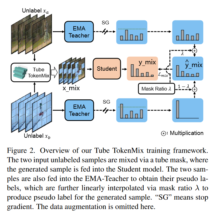 SVFormer: Semi-supervised Video Transformer for Action Recognition - Pixel Pilot