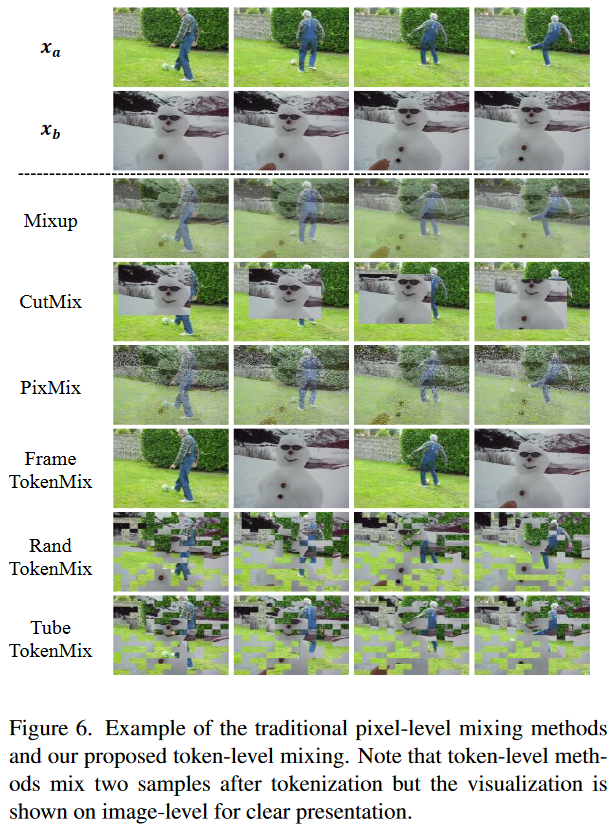 SVFormer: Semi-supervised Video Transformer for Action Recognition - Pixel Pilot